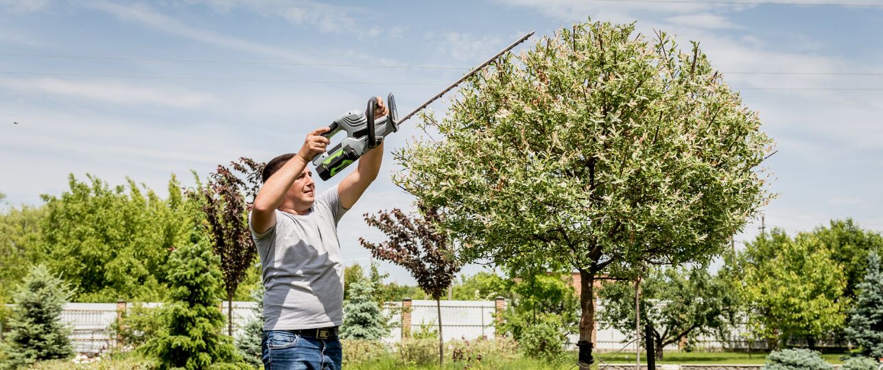 Waarom geënte bomen soms doodgaan, en hoe je dit voorkomt