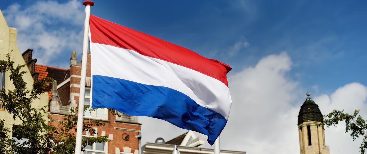 Werken bij de overheid: de verschillende opties