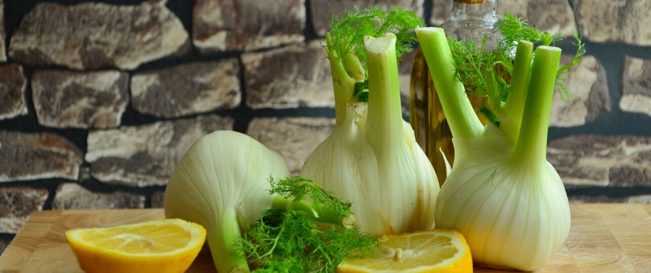 Venkel: de krachtige groente die medicijn en maaltijd tegelijk is