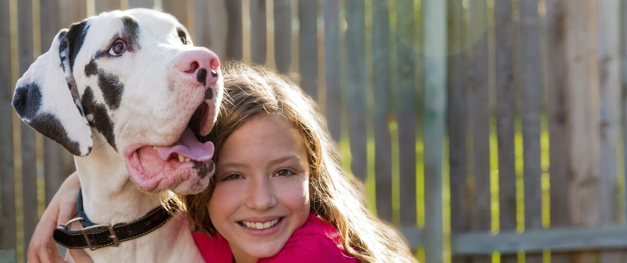 Verleng de levensduur van grote honden met LOY-001 - Startpagina
