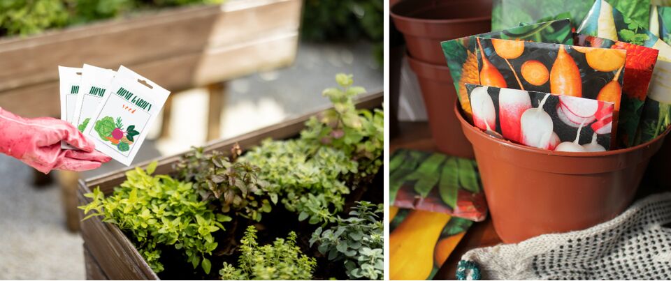 Houdbaarheid van zaden van planten, zó zit het