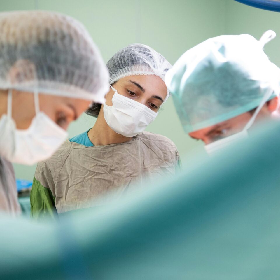 Kijk: de clitoris beter in beeld gebracht door de wetenschap